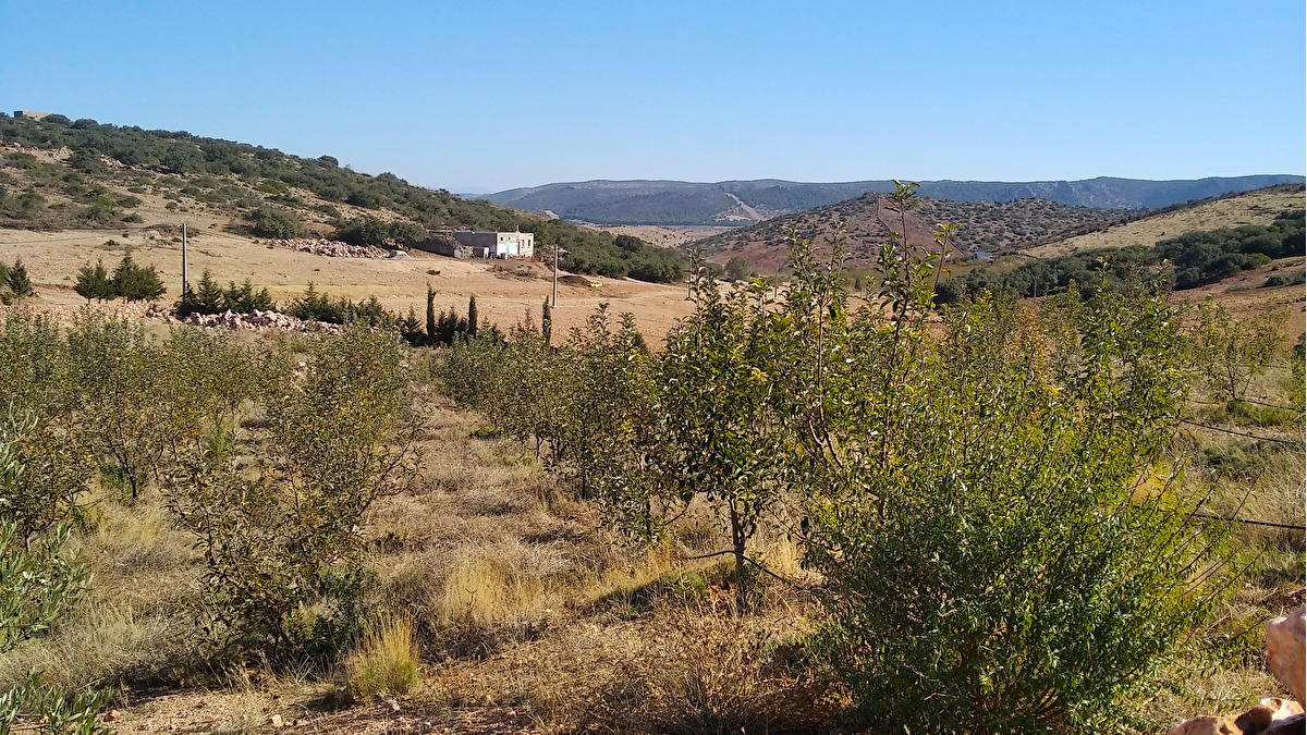 Projet Agroécologique Sefrou - Maroc - Xylm